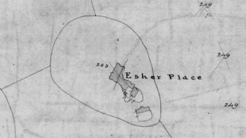 Historic Landmark Esher Place House under threat of destruction and ...