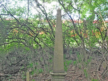 Coal Posts | Esher Residents Association
